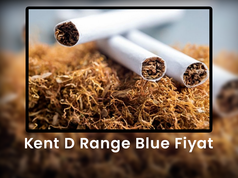 Kent D Range Blue Fiyat - Yeni Fiyatı Ne Kadar Oldu? - Hedef Gazetesi