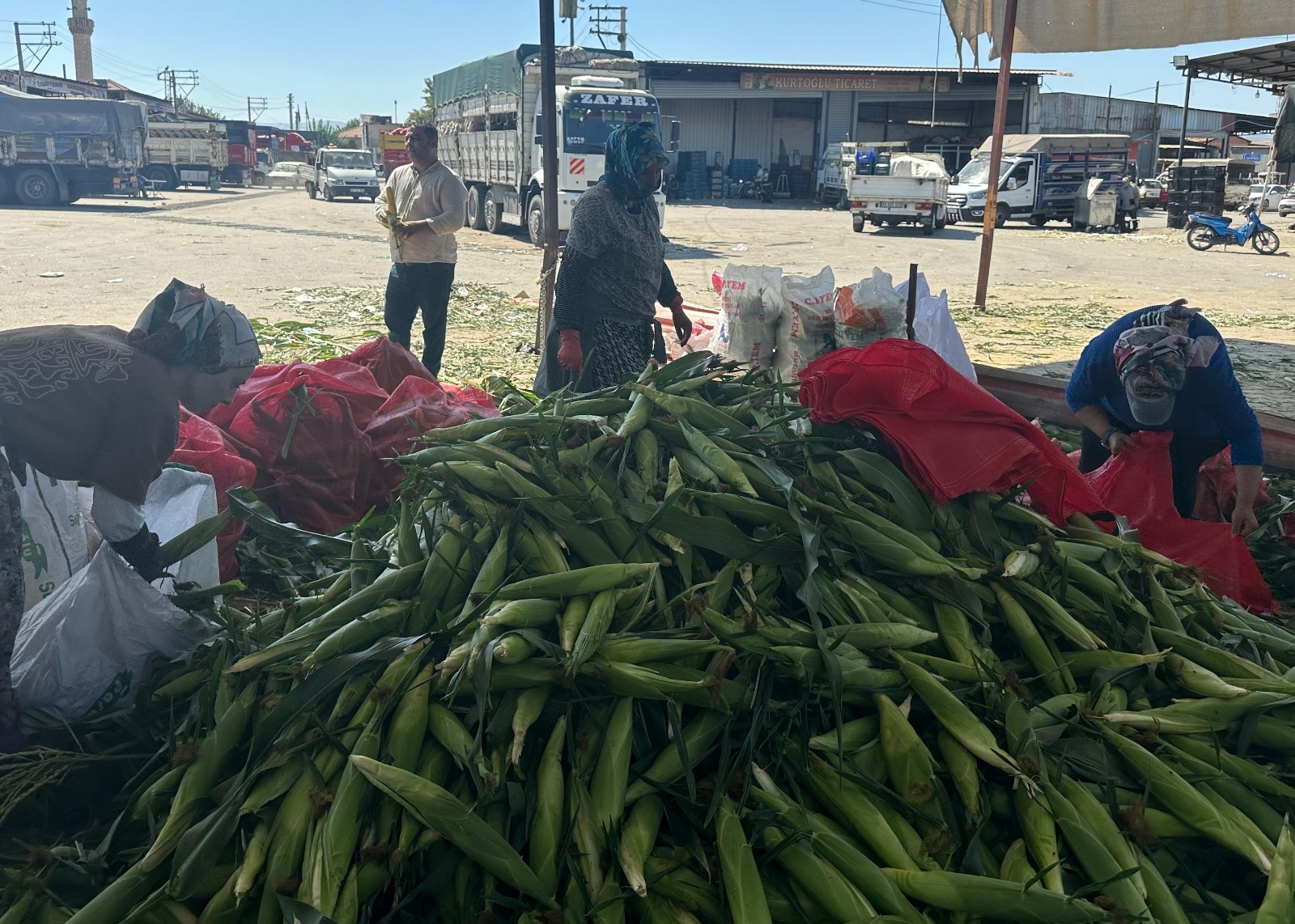 Aydın'ın yanlış bilinen mahallesi! Kendileri değil hayatları roman ...