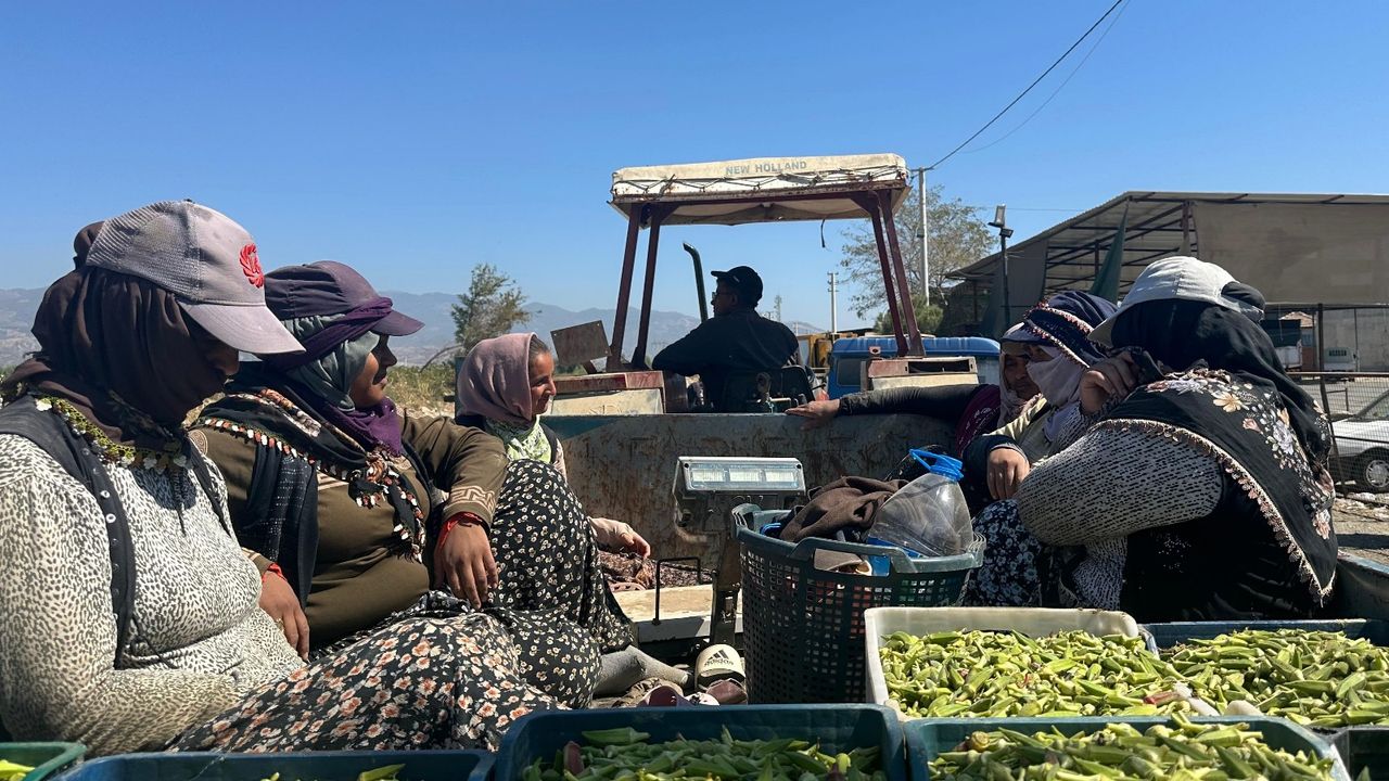 Aydın'ın yanlış bilinen mahallesi! Kendileri değil hayatları roman ...